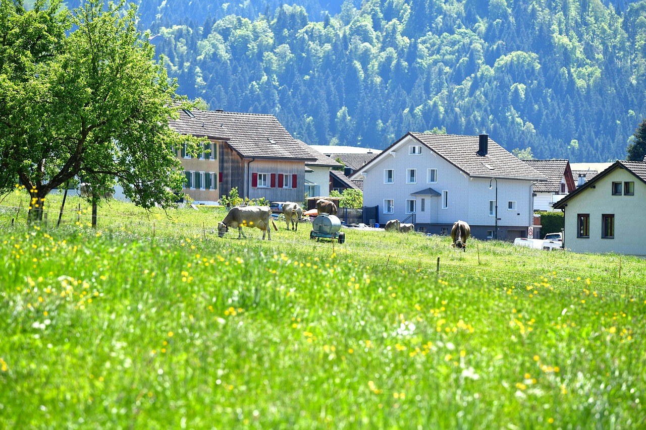 Vaches Prairie Village Sur Le Photo Gratuite Sur Pixabay Pixabay Vaches Prairie Village Sur Le Photo Gratuite Sur Pixabay Pixabay