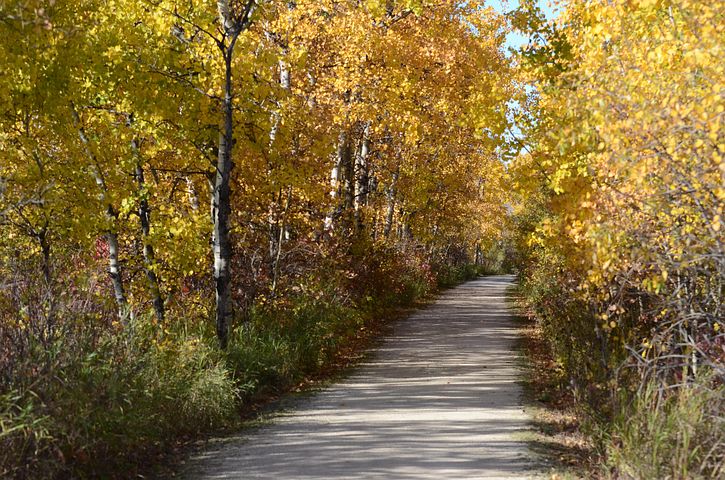 80+ Free Winnipeg & Manitoba Images - Pixabay