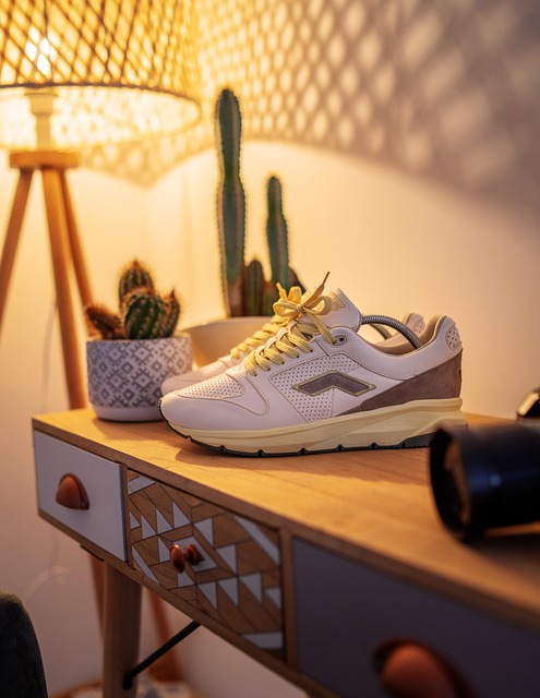 Sneep Crew Shoes Sneakers - Free photo on Pixabay - Pixabay