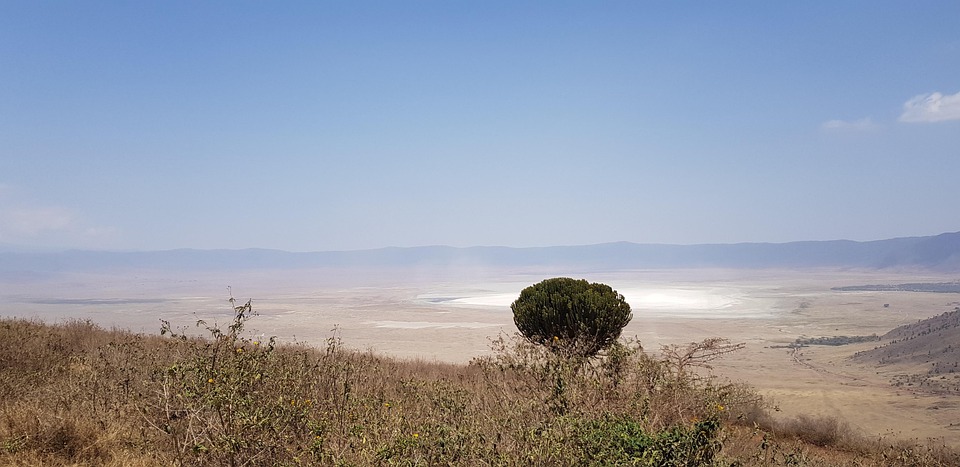 Ngoro Serengeti Tanzanya - Pixabay'de ücretsiz fotoğraf - Pixabay