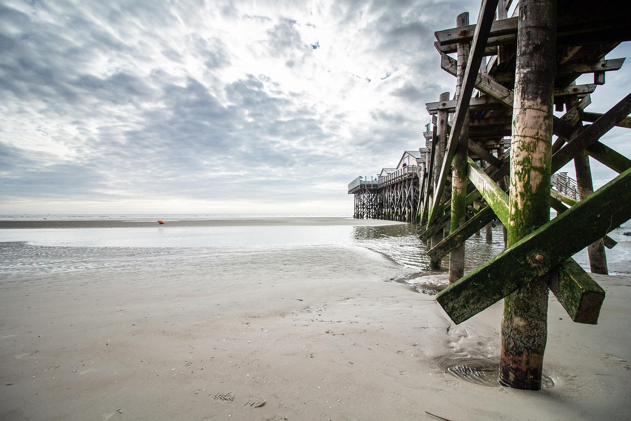 300+ Free Sandy Shores & Beach Images - Pixabay