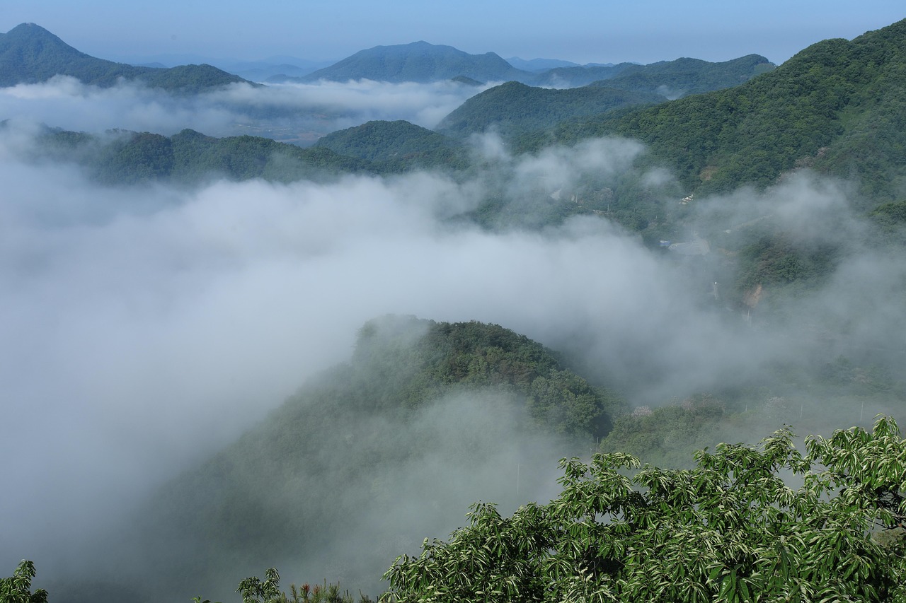 Berg Nebel Landschaft - Kostenloses Foto auf Pixabay - Pixabay