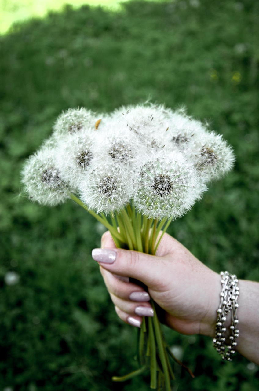 Bouquet Dandelions - Free photo on Pixabay - Pixabay