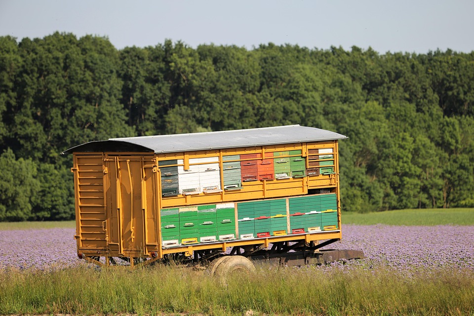 Beehive Beekeeping Trailer - Free photo on Pixabay - Pixabay