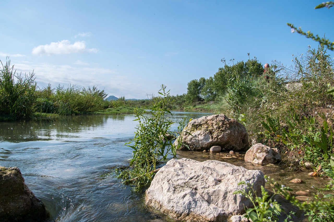 River Water Contamination - Free photo on Pixabay - Pixabay
