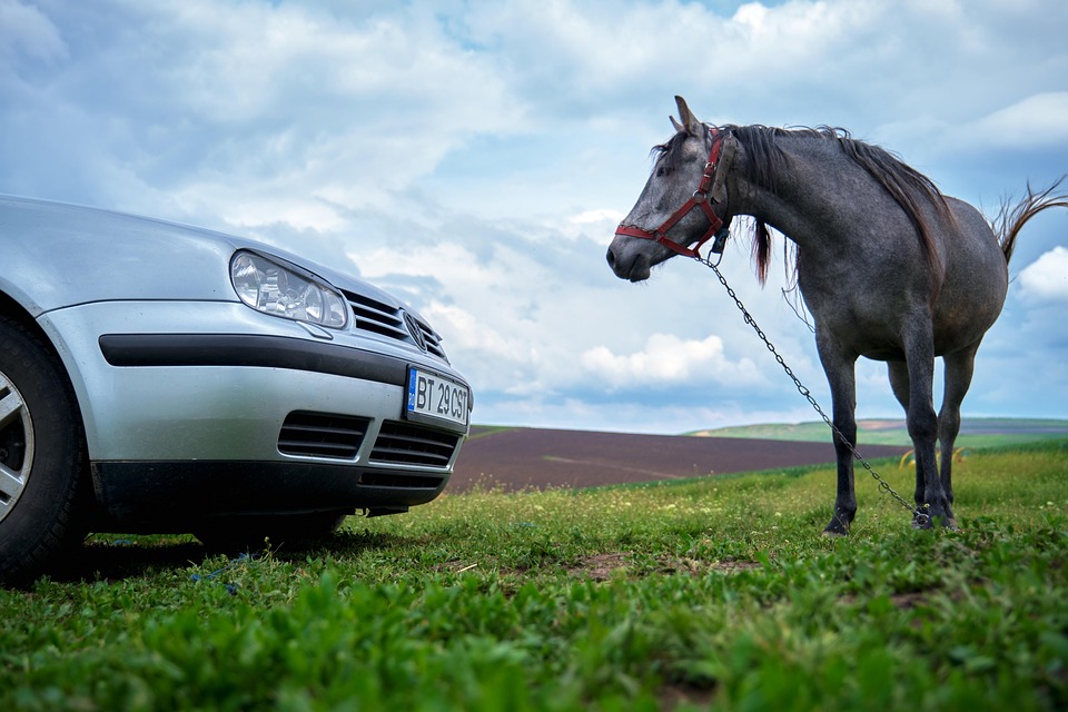Cheval Vw - Photo gratuite sur Pixabay - Pixabay
