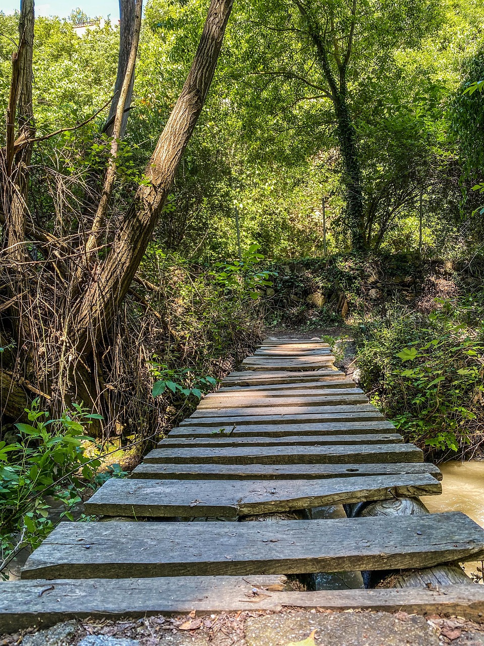 Bridge River Path - Free photo on Pixabay - Pixabay
