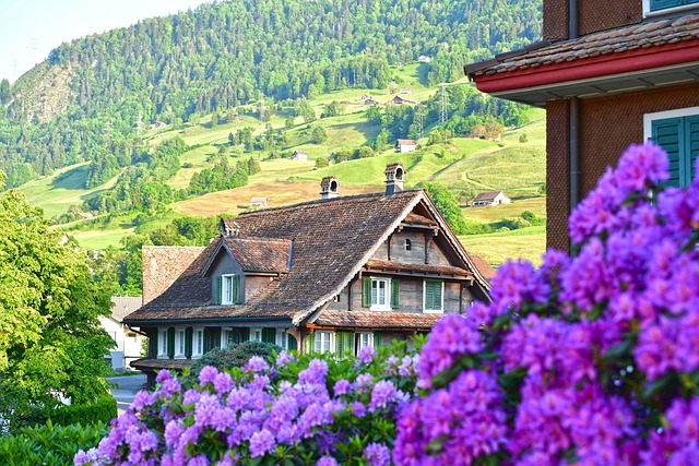 Village Houses Lauerz - Free photo on Pixabay - Pixabay