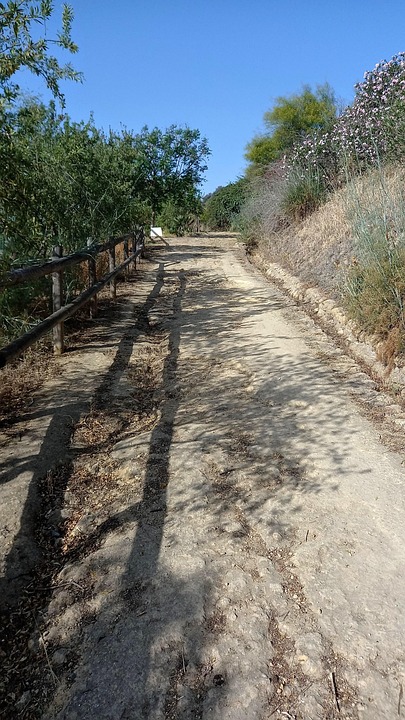 Path Jalur Alam - Foto gratis di Pixabay