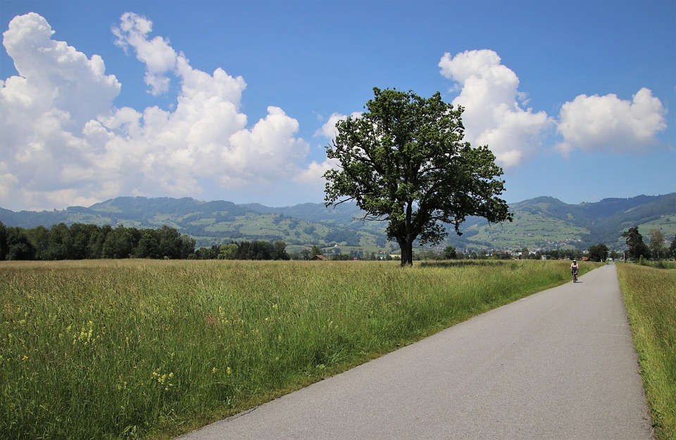 Bike Road Fields - Free photo on Pixabay