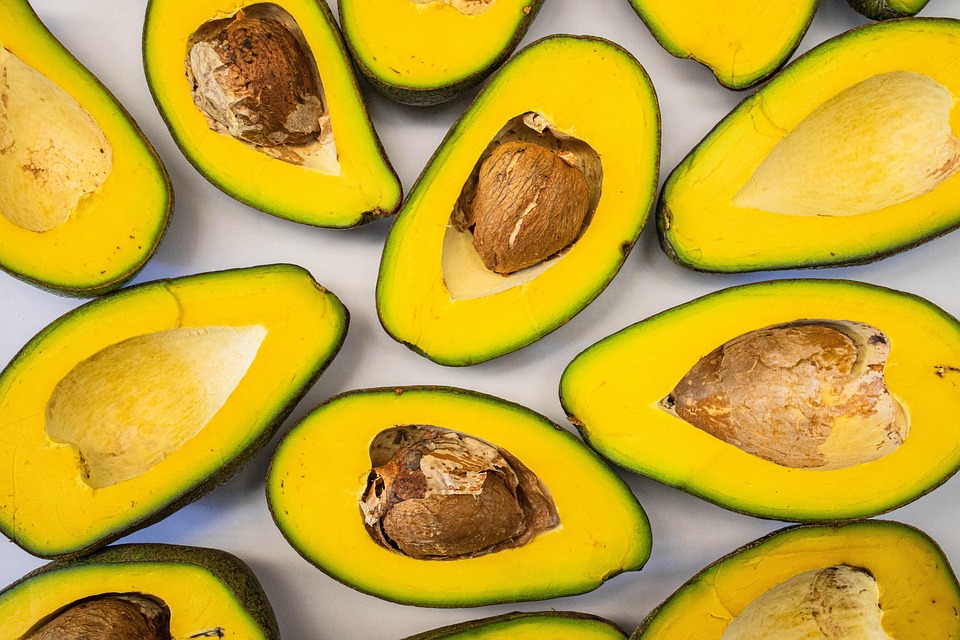 Avocados Fruits Seeds - Free photo on Pixabay