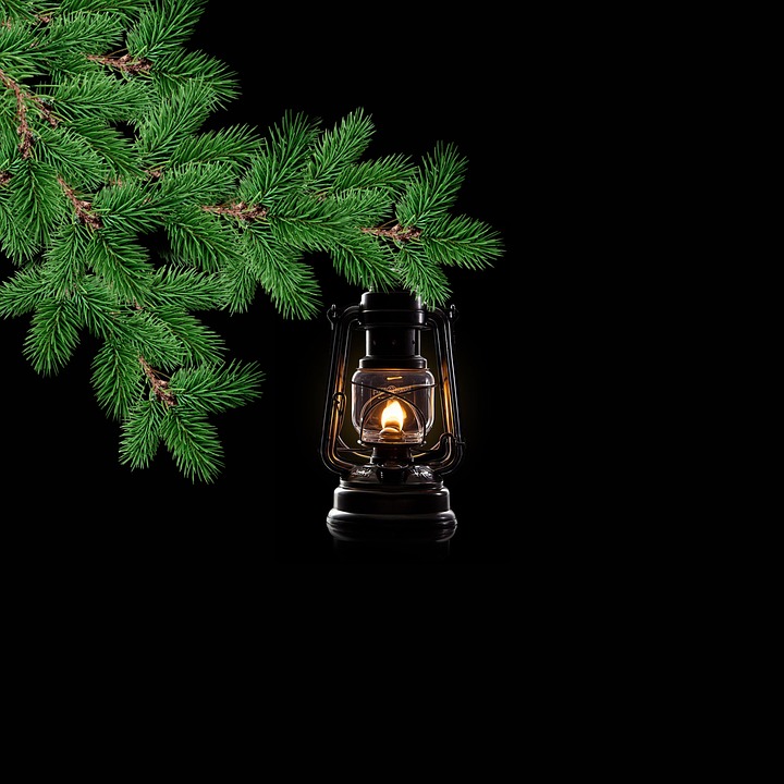 Pine Needles Branches Lantern - Free photo on Pixabay