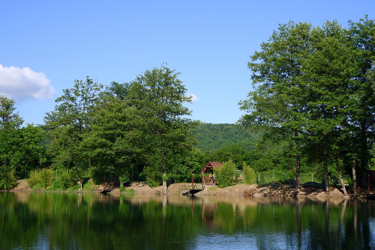 Trees Lake Landscape - Free photo on Pixabay - Pixabay