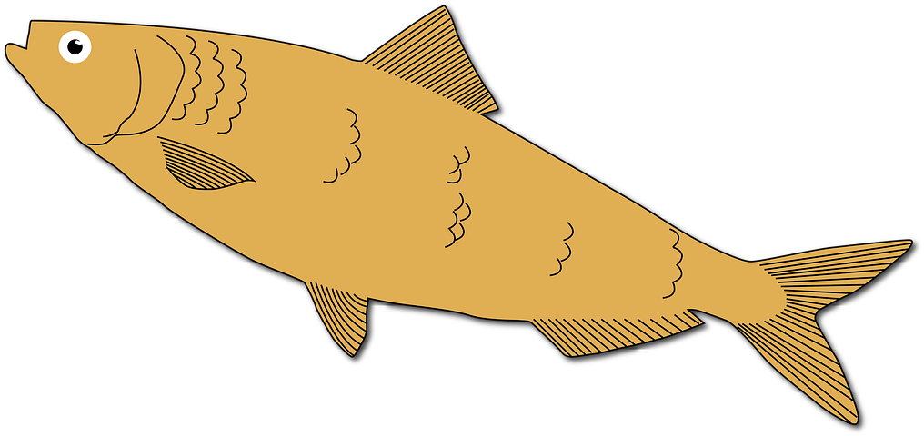 80+ Free Bass Fish & Fish Images - Pixabay