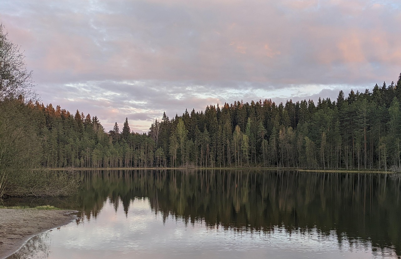 Lac Forêt Des Arbres Les - Photo gratuite sur Pixabay - Pixabay
