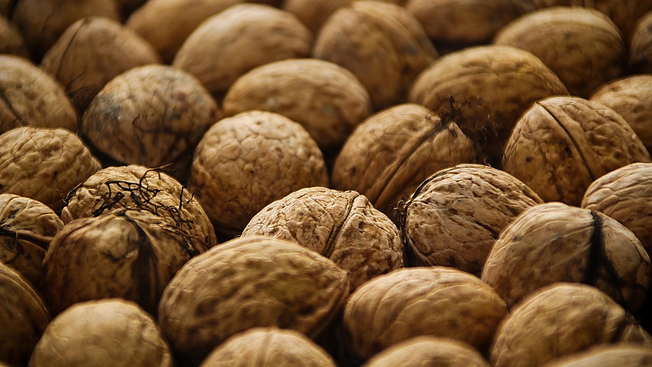 Noyer Des Noisettes Aliments - Photo gratuite sur Pixabay - Pixabay
