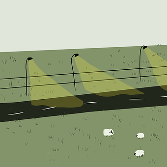 20+ Free Green Sheep & Sheep Illustrations