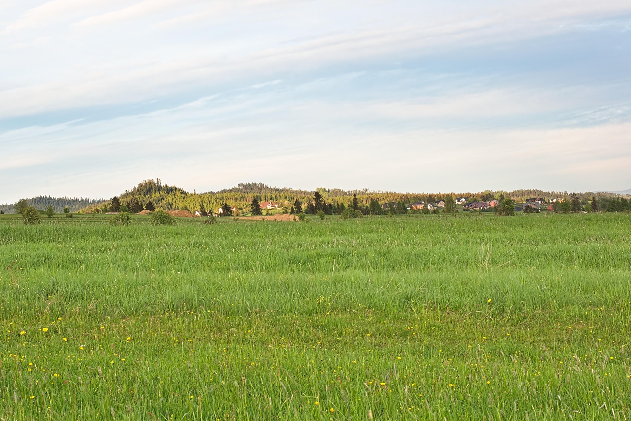 Gras Wiese Landschaft - Kostenloses Foto auf Pixabay - Pixabay