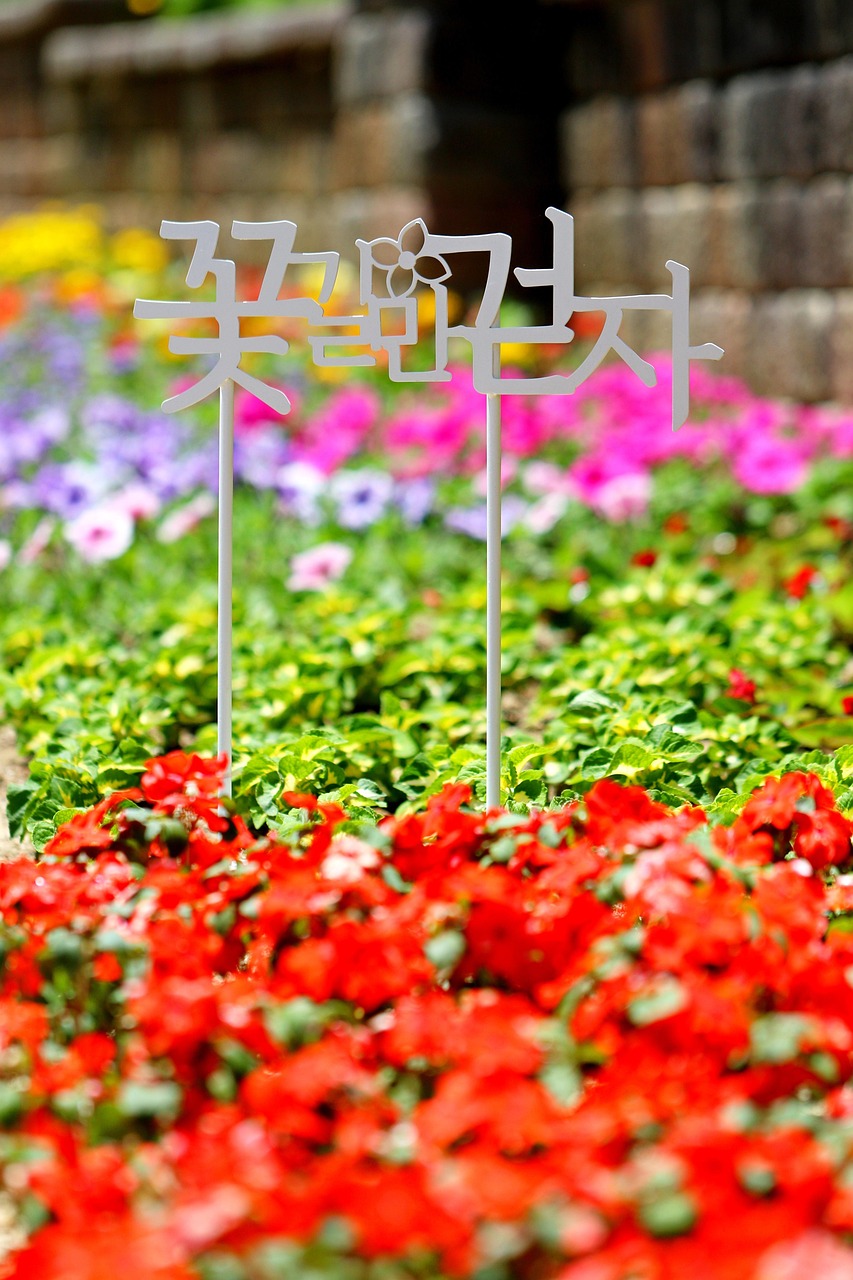 Hangul Hangeul Korean Aakkoset Ilmainen Valokuva Pixabayssa Pixabay