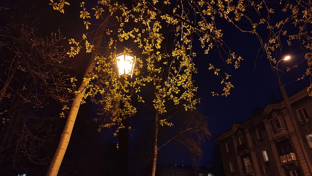 Flashlight Night City - Free photo on Pixabay - Pixabay