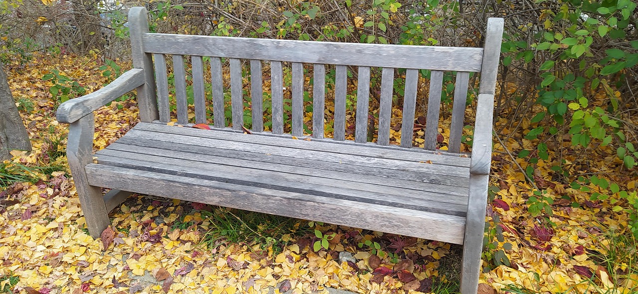 Autumn Chair Garden - Free photo on Pixabay
