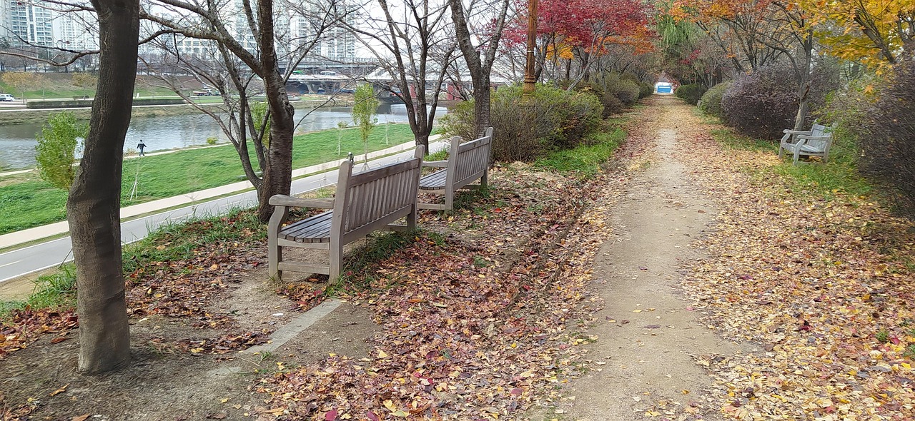 Autumn Chair Garden - Free photo on Pixabay - Pixabay