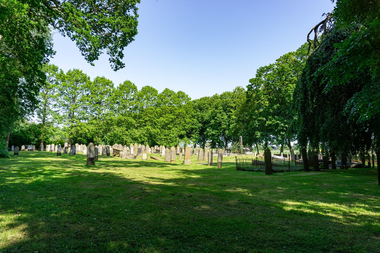 Cemetery Grave Stones Forest - Free photo on Pixabay - Pixabay