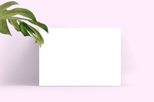 Explore 10,376+ Free Wood Mockup Illustrations: Download Now - Pixabay