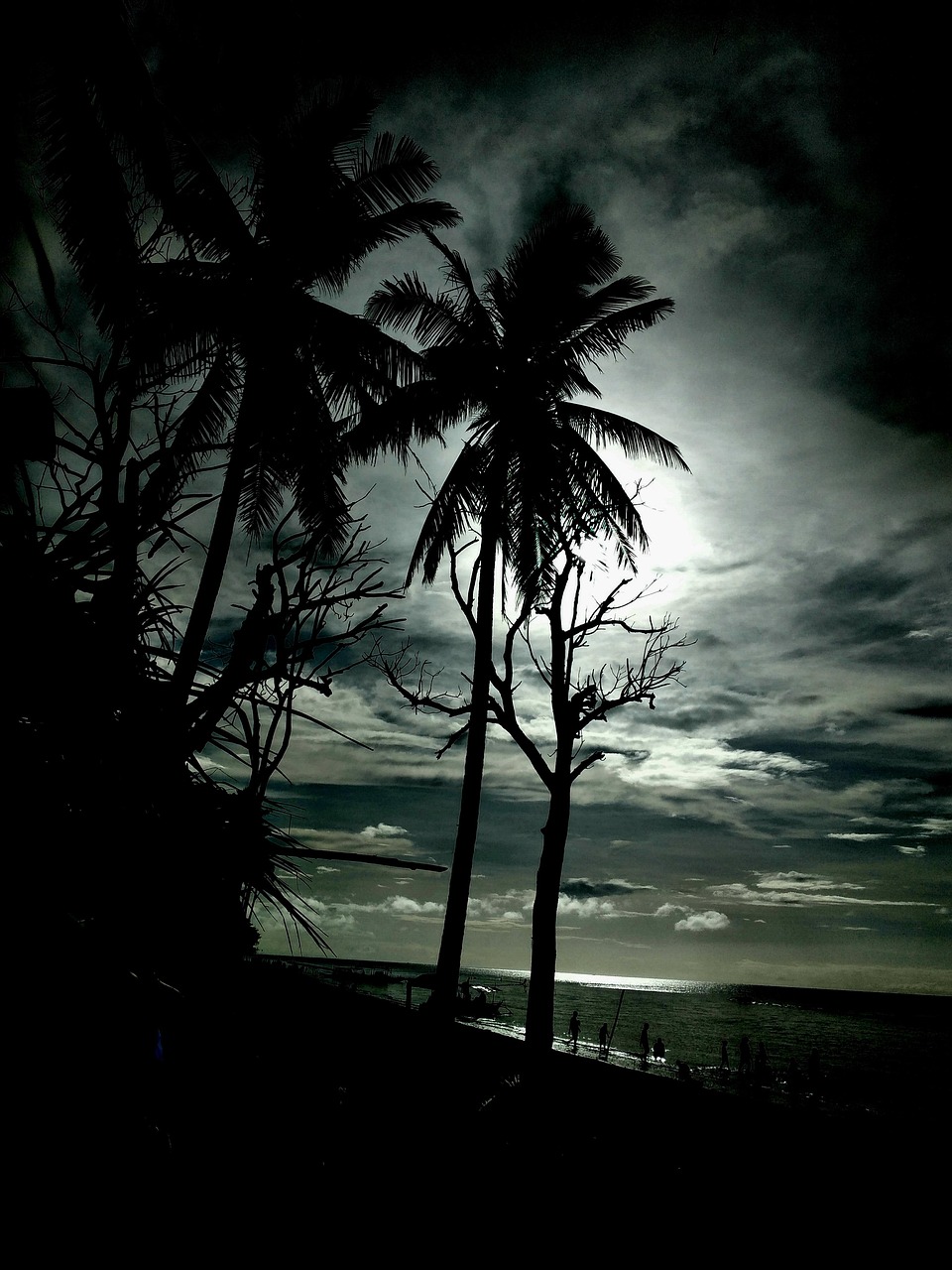 Nature Darkness Tree - Free photo on Pixabay - Pixabay