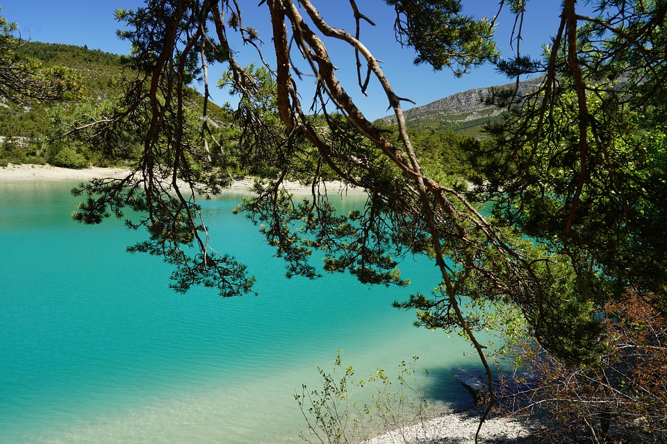 Lake Turquoise Water Trees - Free photo on Pixabay - Pixabay