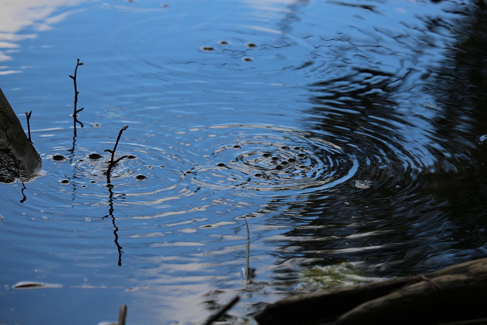 See Wellen Wasser - Kostenloses Foto auf Pixabay