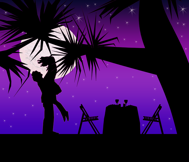 Download Night Engage Love Royalty-Free Stock Illustration Image - Pixabay