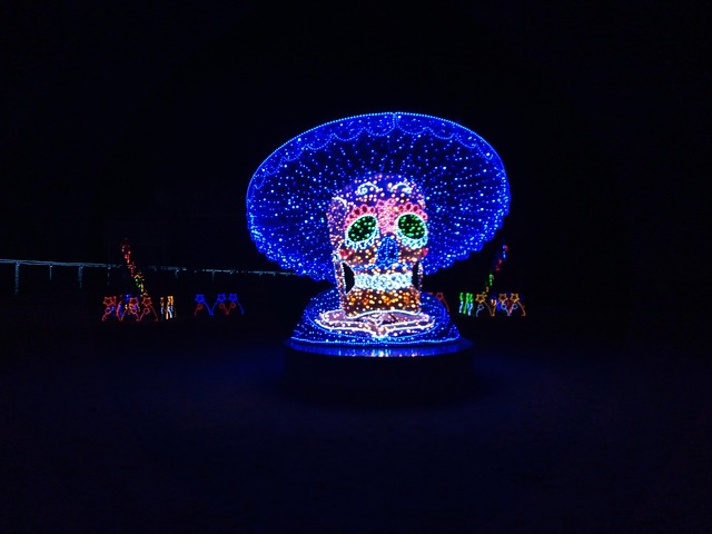 Day Of The Dead Light - Free photo on Pixabay - Pixabay
