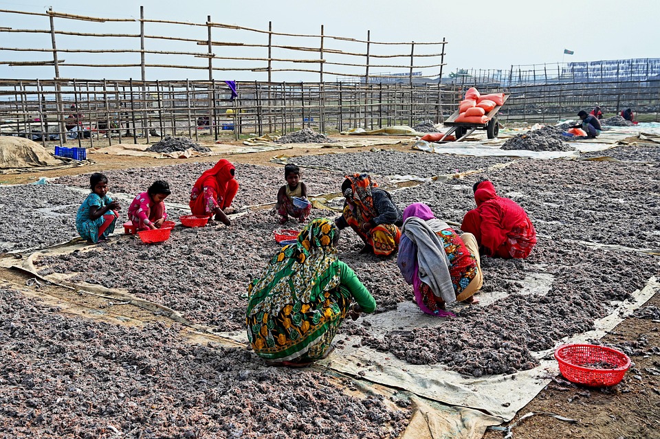 Women Field Working - Free photo on Pixabay - Pixabay