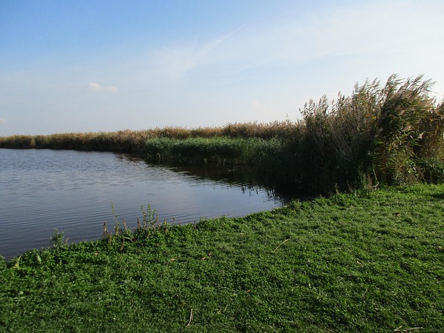 Burgenland Lac De Neusiedl L'Eau - Photo gratuite sur Pixabay - Pixabay