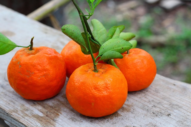 Mandarinen Obst Orangen - Kostenloses Foto auf Pixabay - Pixabay