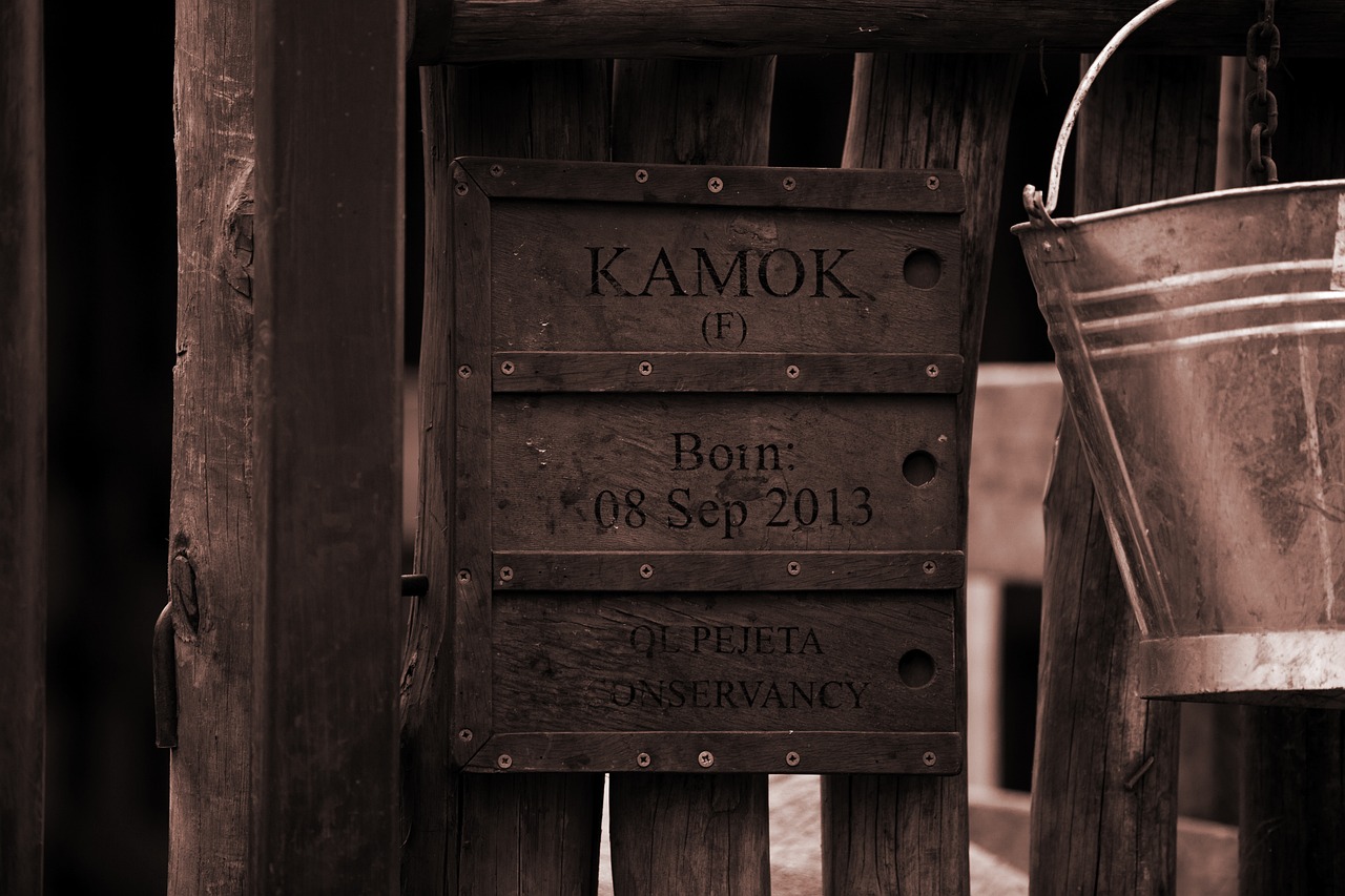 1+ Free Kamok & Wooden Sign Images - Pixabay