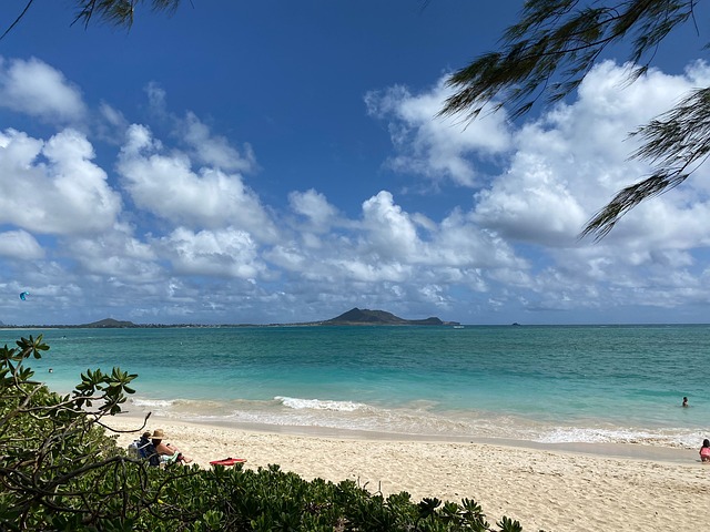 Island Beauty Beach - Free photo on Pixabay - Pixabay