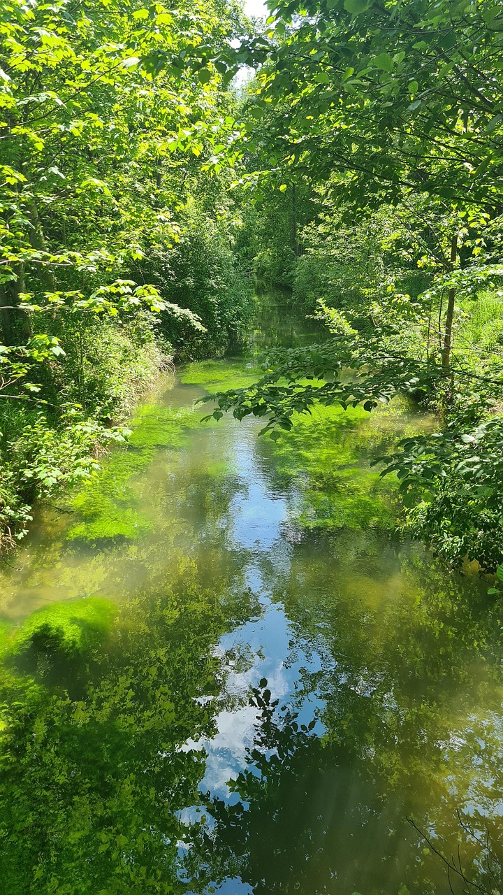 Nature Water Landscape - Free photo on Pixabay - Pixabay