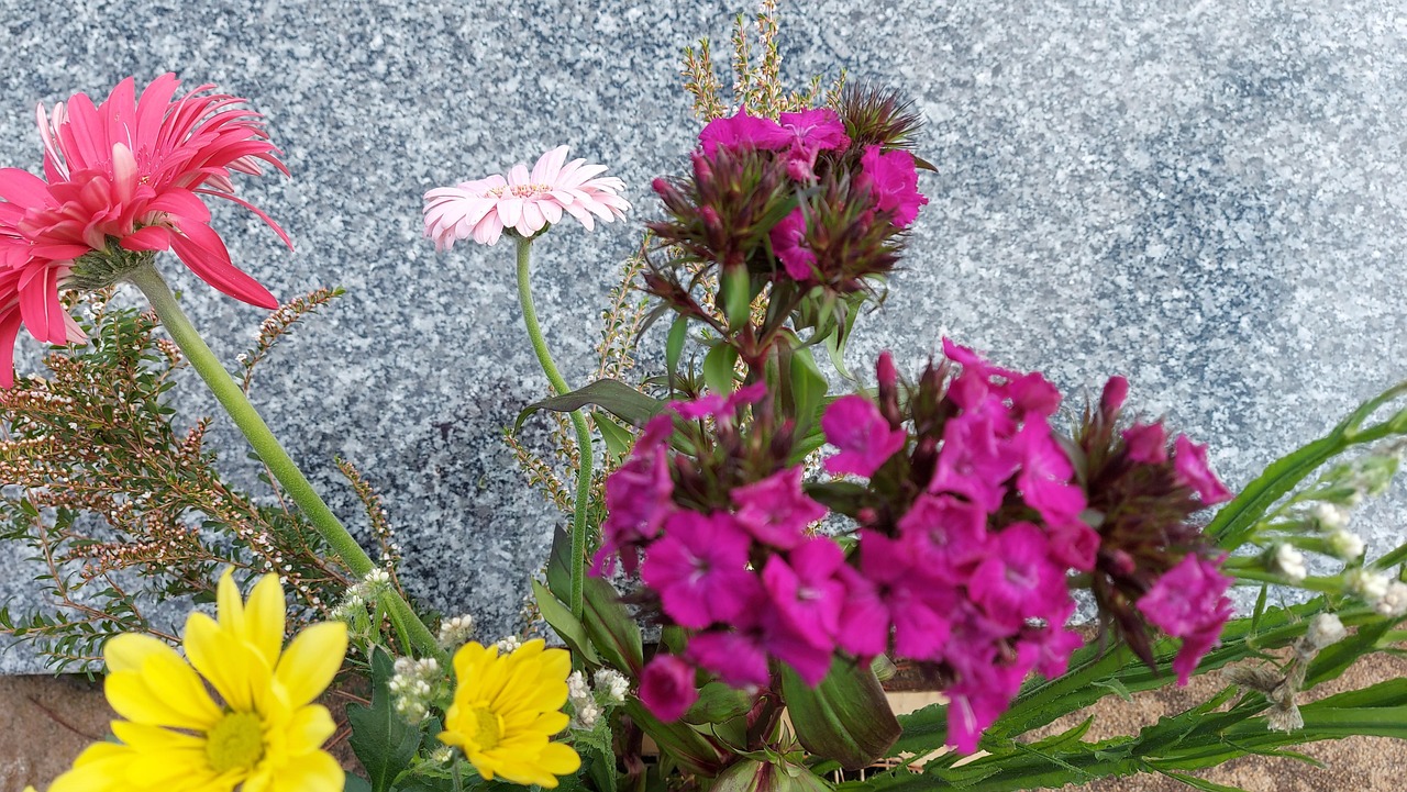 Blumen Blume Flowerphotography - Kostenloses Foto auf Pixabay