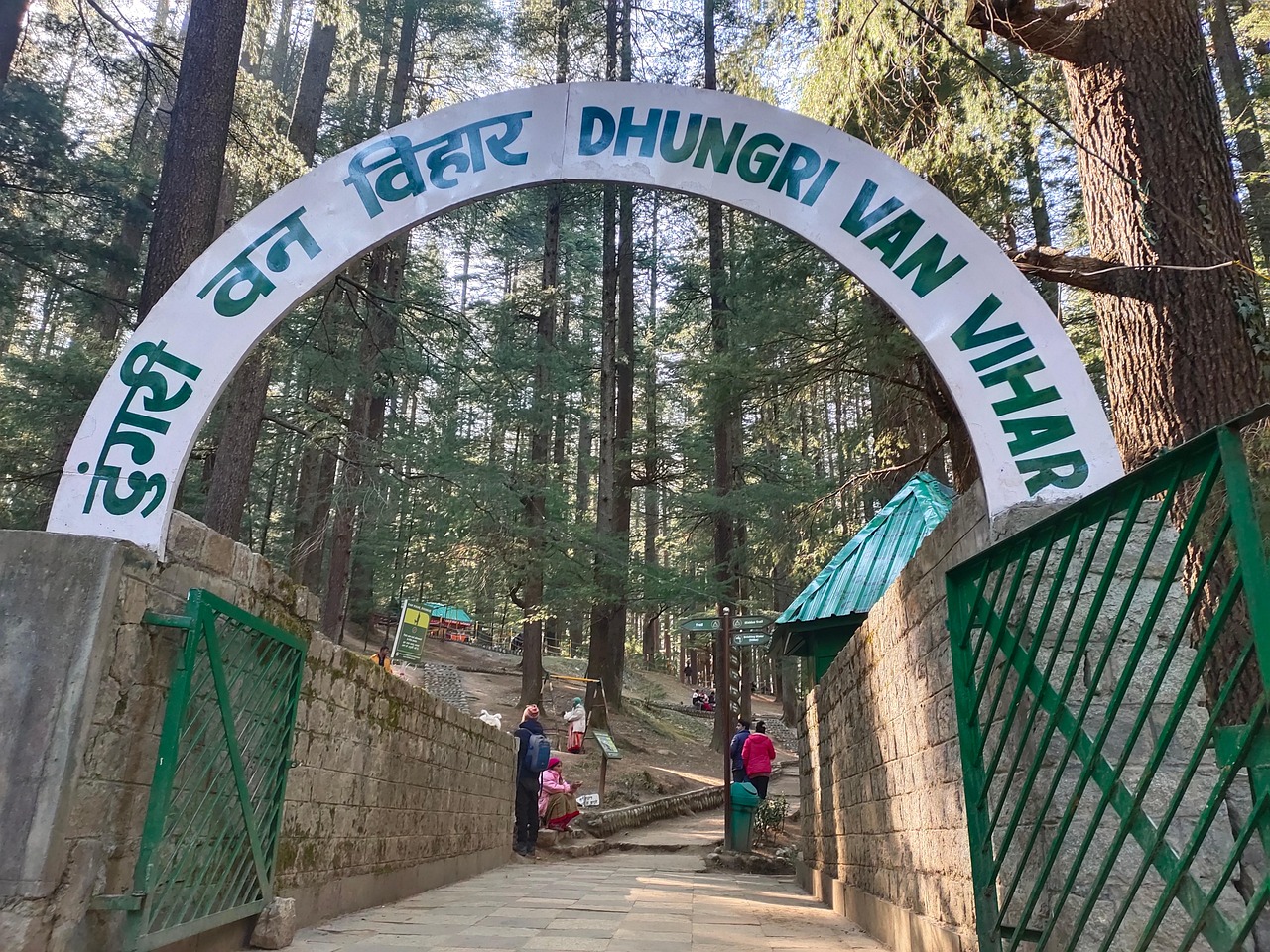 Dhungri Van Vihar Manali Dugri - Foto gratis di Pixabay - Pixabay