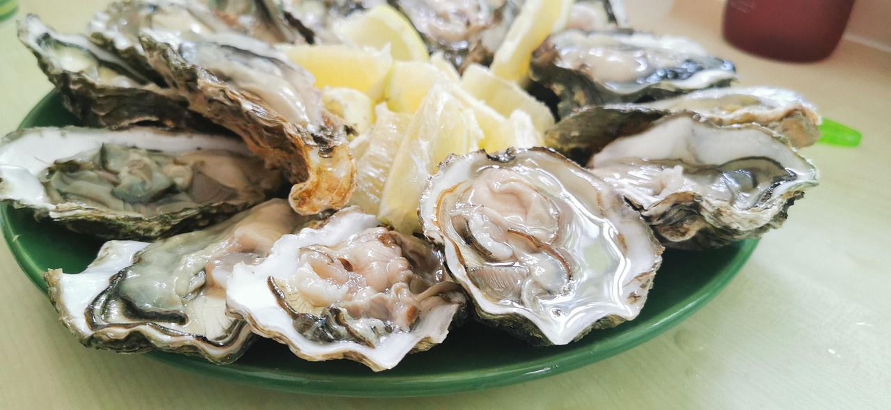 Ostra Fruto De Mar - Foto gratis en Pixabay - Pixabay