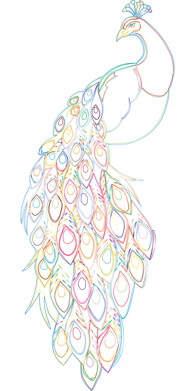 Peacock Design Vector