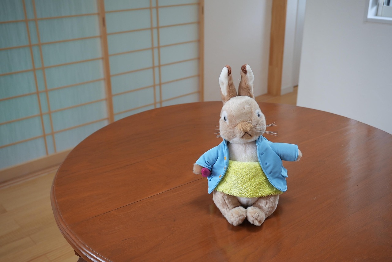 Bande Abdominale Benjamin Lapin - Photo gratuite sur Pixabay - Pixabay