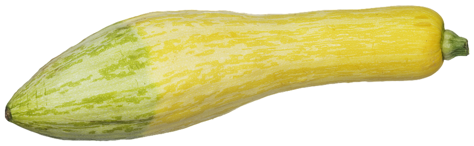 Download Squash Vegetable Food Royalty-Free Stock Illustration Image ...