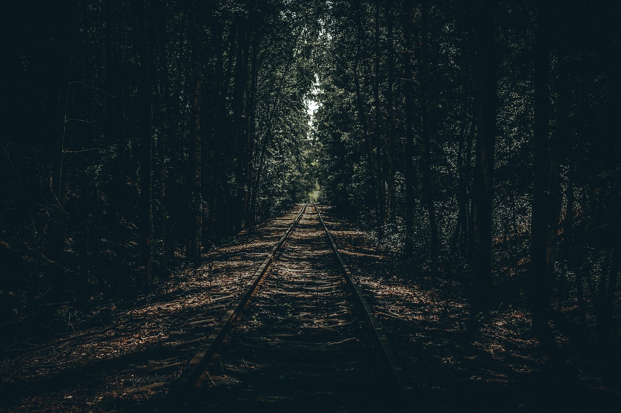Railway Railroad Trees - Free photo on Pixabay