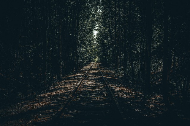 Railway Railroad Trees - Free photo on Pixabay