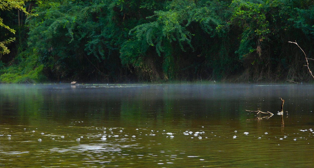 Sisi Danau Desa - Foto gratis di Pixabay - Pixabay