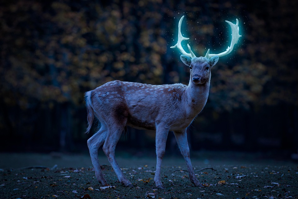 What Does A Deer Mean Spiritually Spirit Restoration