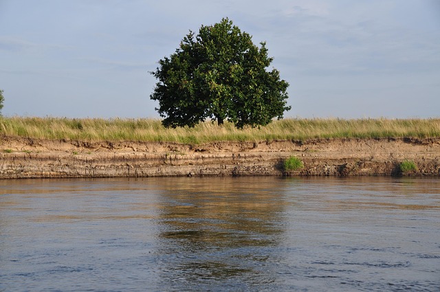 River Stream Creek - Free photo on Pixabay - Pixabay River Stream Creek - Free photo on Pixabay - Pixabay